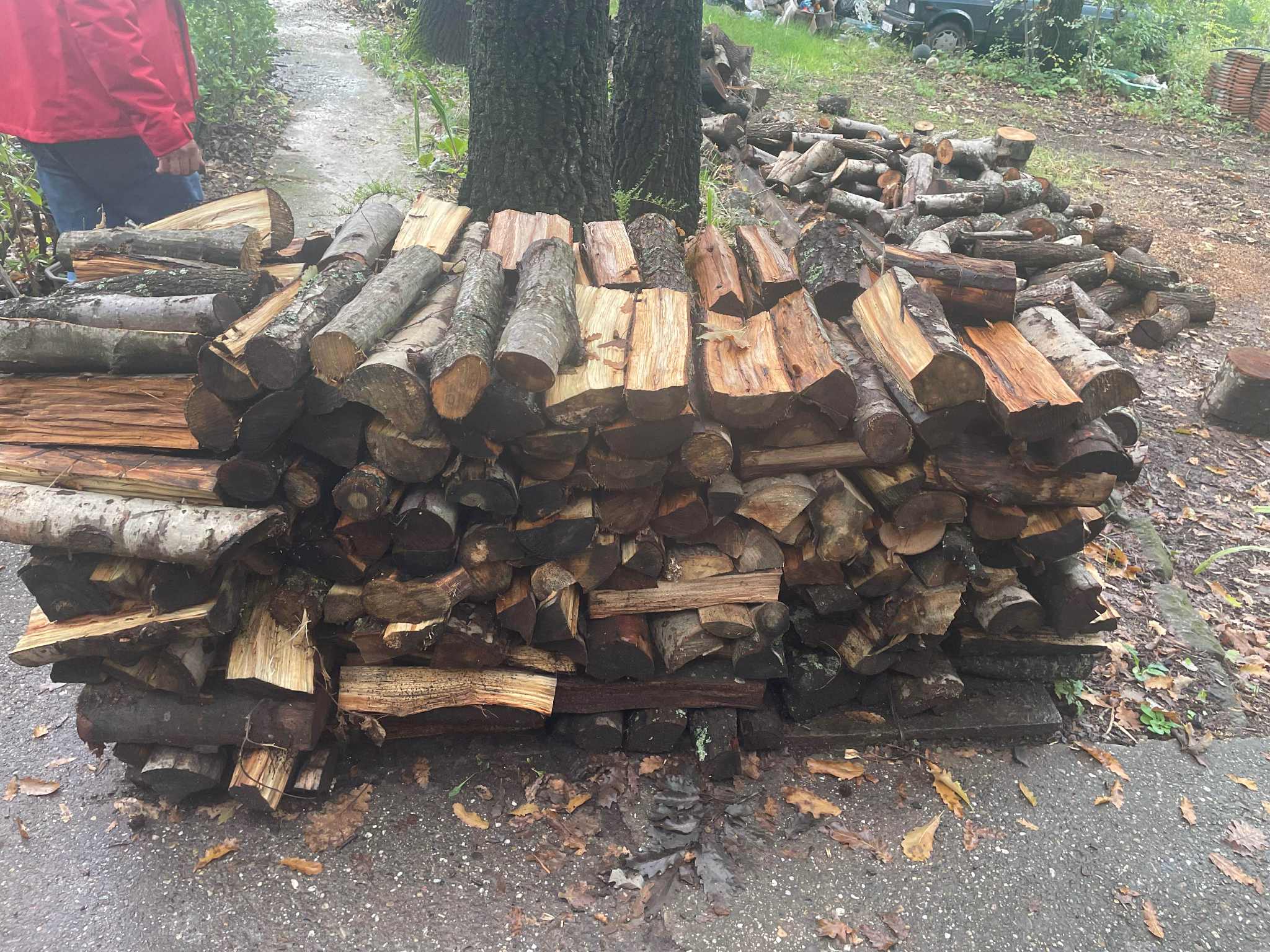 Iscepana drva za loženje - oglasihalo